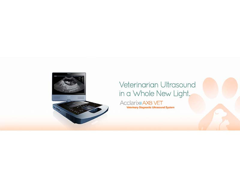 5. Acclarix AX8 VET Veterinary Portable Ultrasound (1 ...